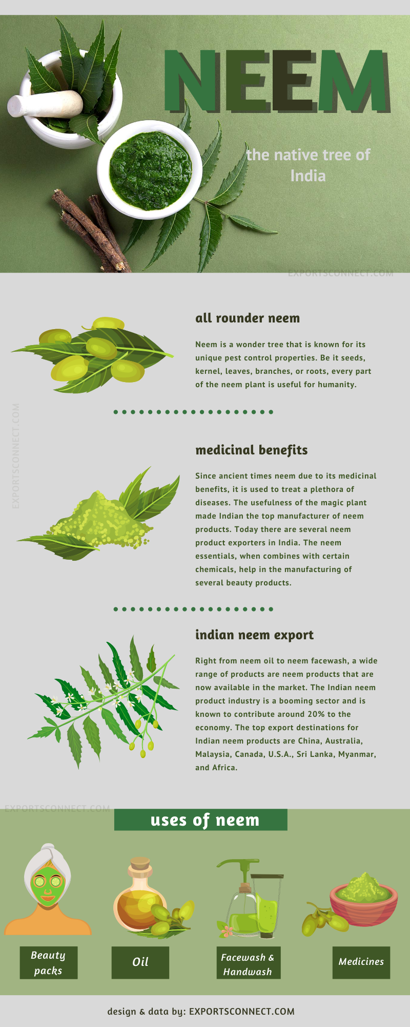 Top Neem Product Exporters In India 2024 | Exports Connect